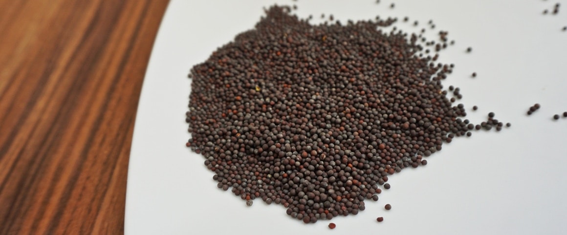 Rai Mustard Seeds | Spices | Maunika Gowardhan