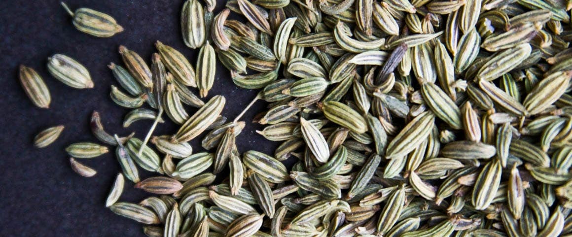 Saunf Fennel Seeds | Spices | Maunika Gowardhan