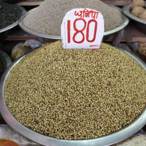 Raan Musallam - Maunika Gowardhan